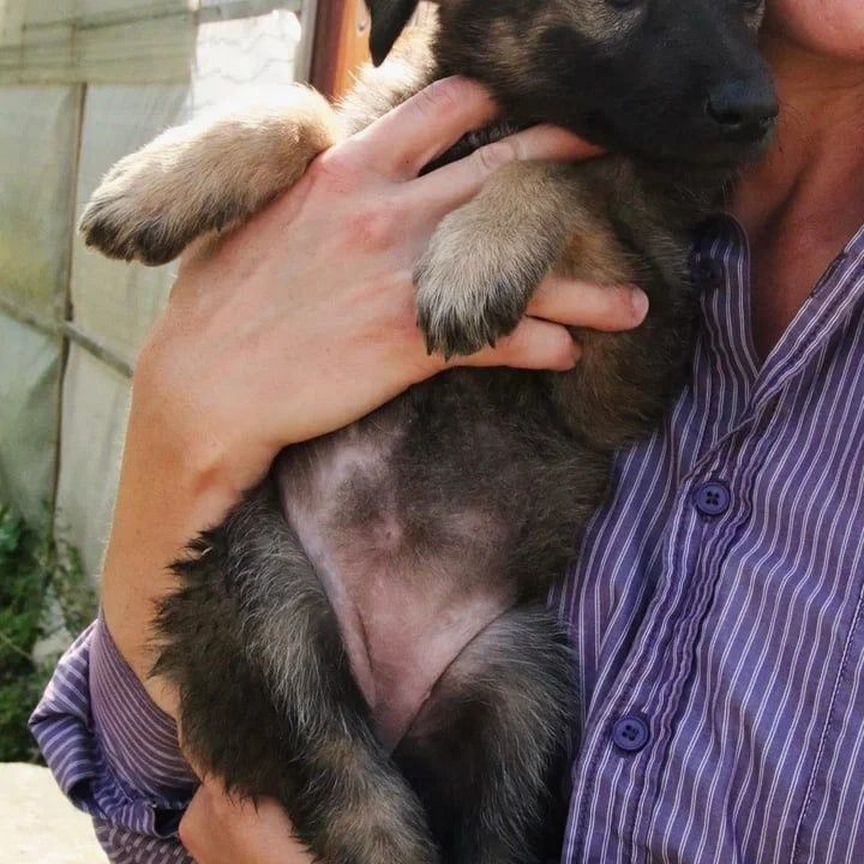 Шикарные малыши Ягодки