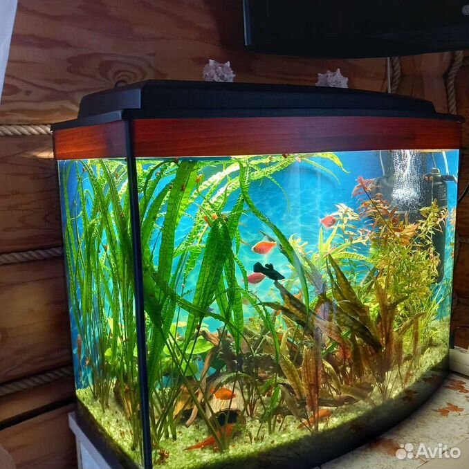 Аквариумукрашение для аквариума