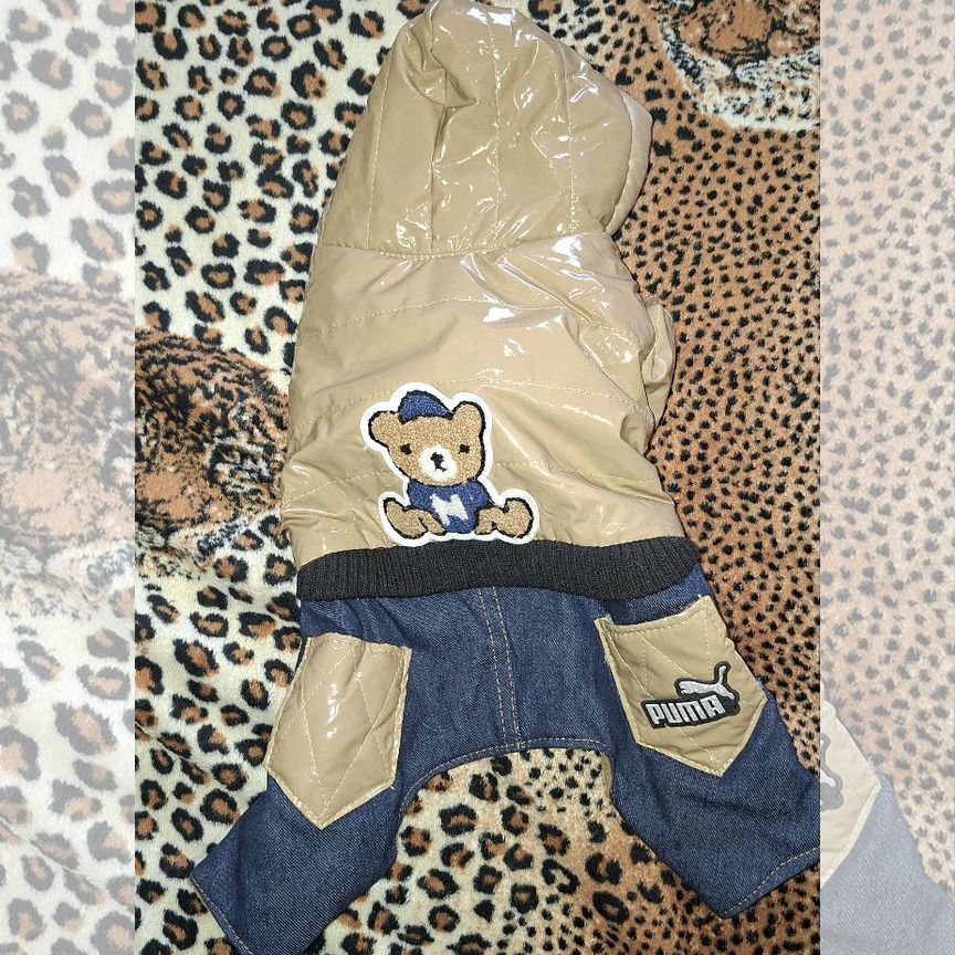 Одежда для собак мелких пород