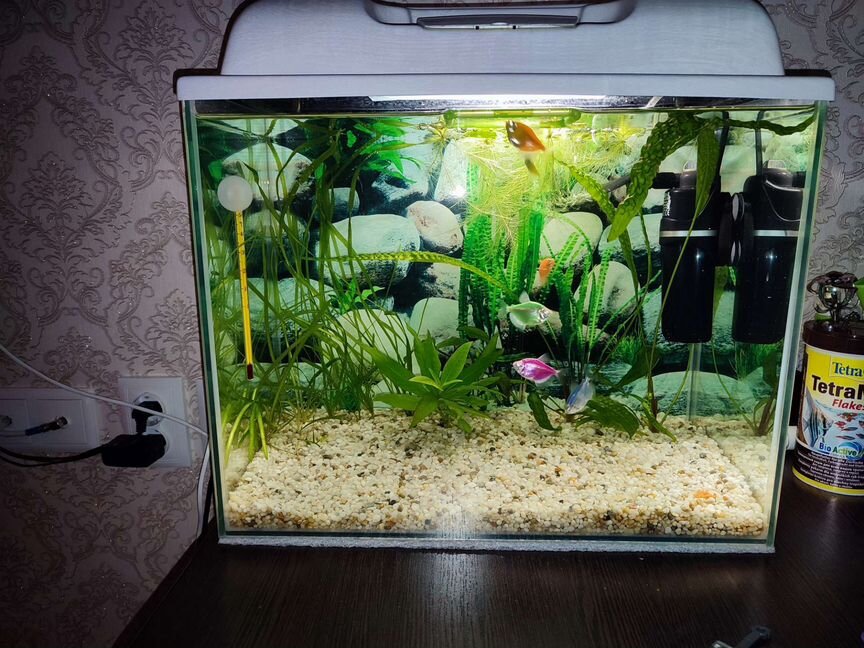 Аквариум с рыбками