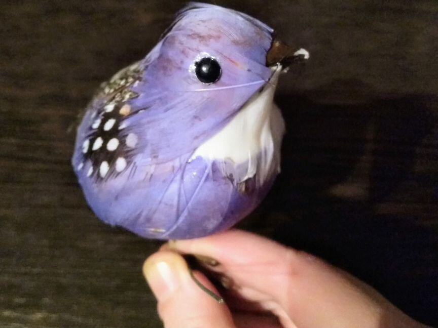 Декоративные птички