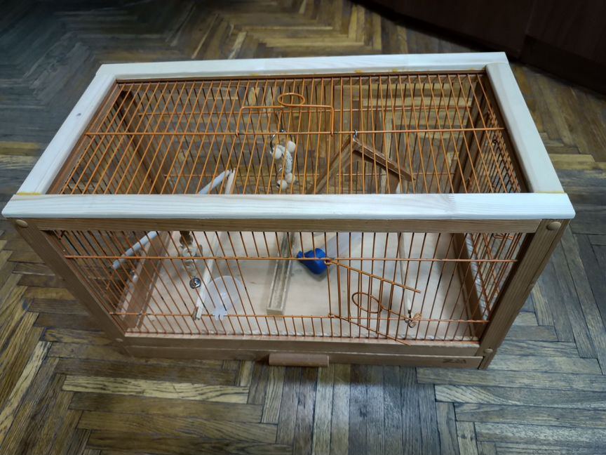 Клетка деревянная 57х30 см, h-35 см, Zoom