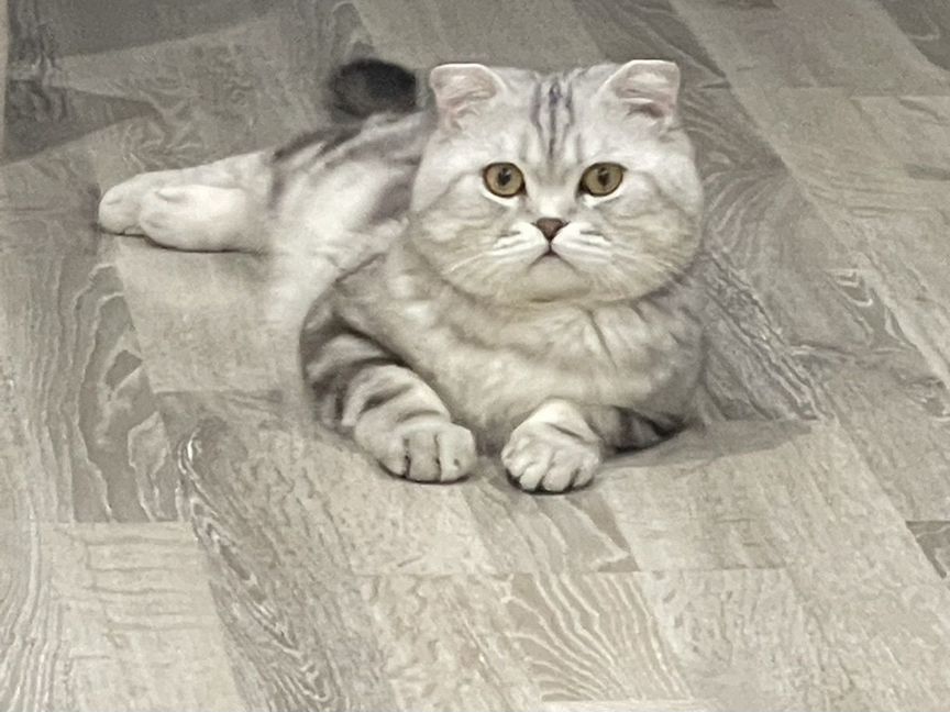 Вязка
