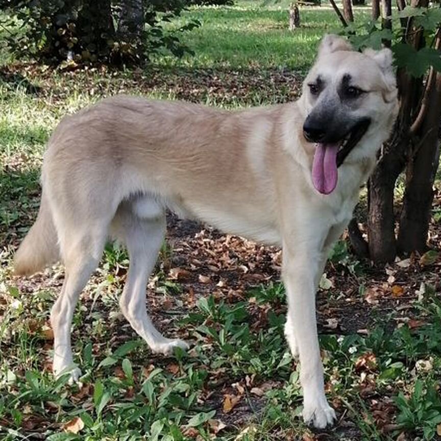 Мальчик 1 год вес небольшой