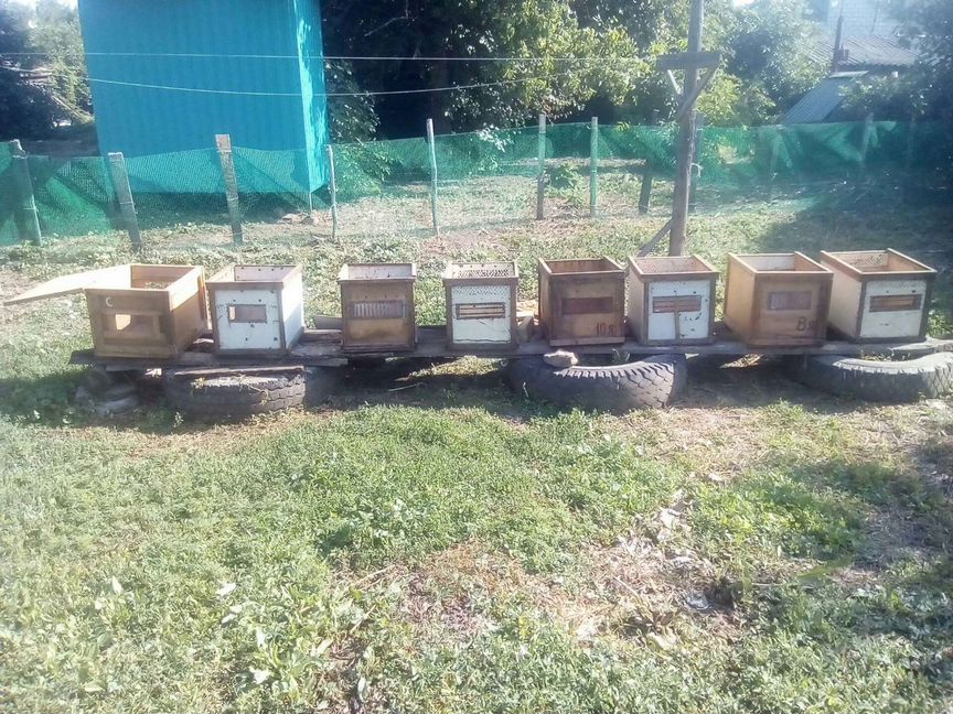 Пакеты для перевозки пчел