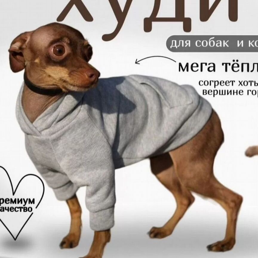 Худи для собак