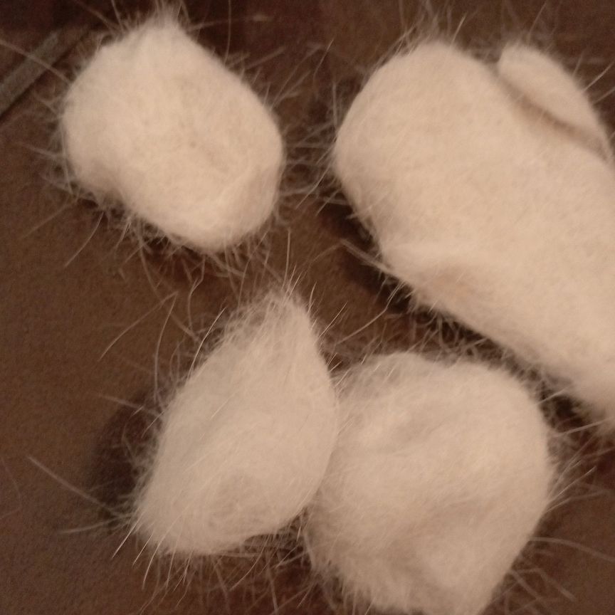 Кошачья шерсть