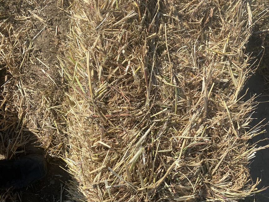 Сено в тюках