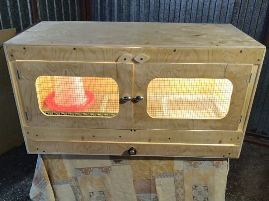 Брудер для цыплят