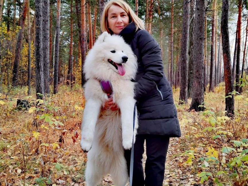 Вязка самоед