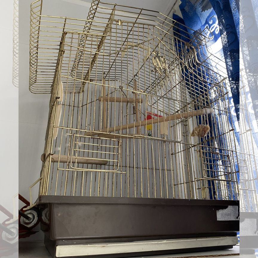 Клетка для волнистого попугайчика в60 ш 50 г40