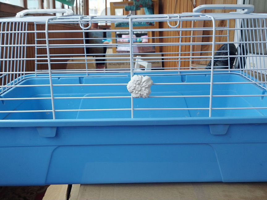 Клетка для домашнего кролика