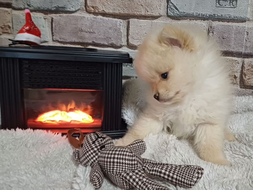 Сладкий карамельный медвежонок