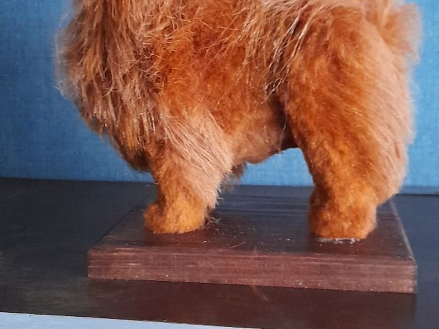 Собачка чау чау