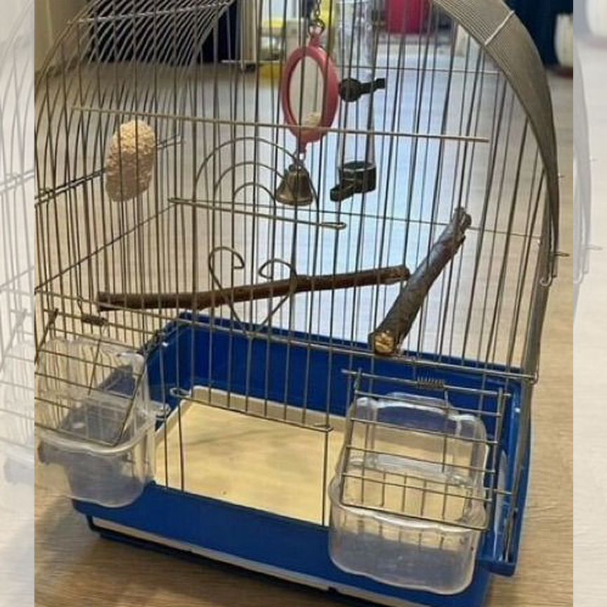 Клетка для птиц