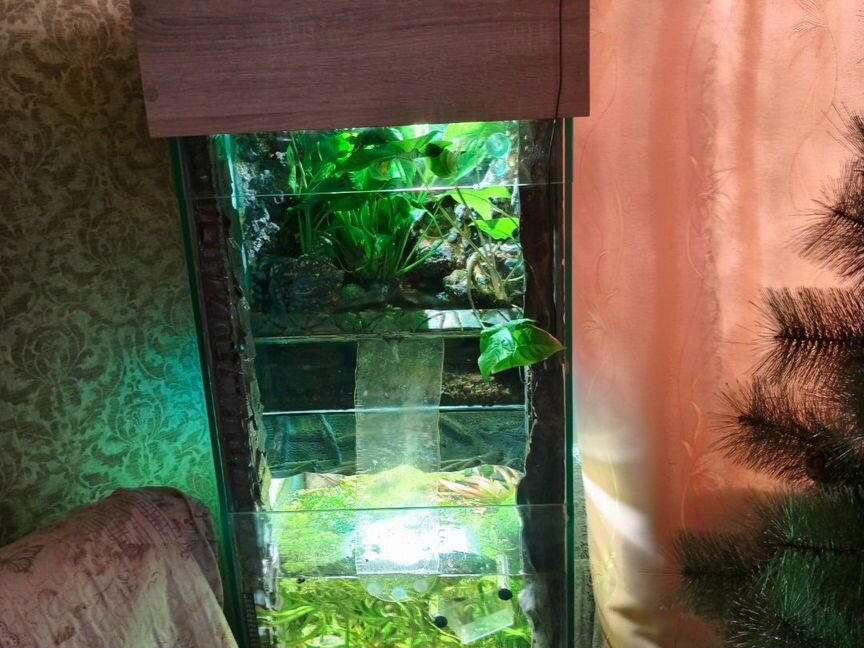 Аквариум с тумбой полюдариум