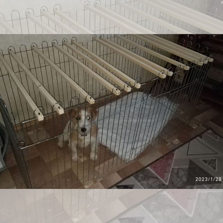 Вольер для щенка
