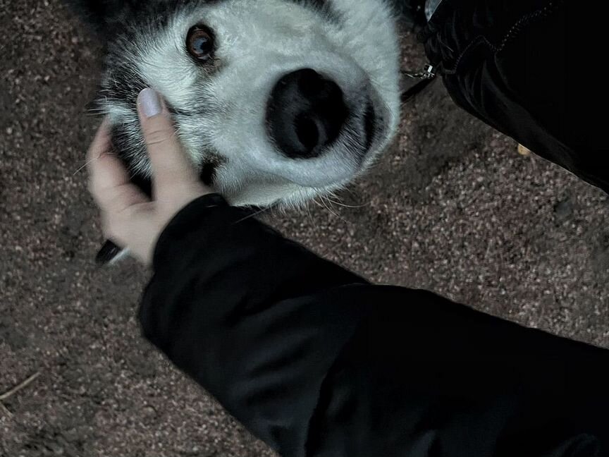 Спаслась но идти некуда