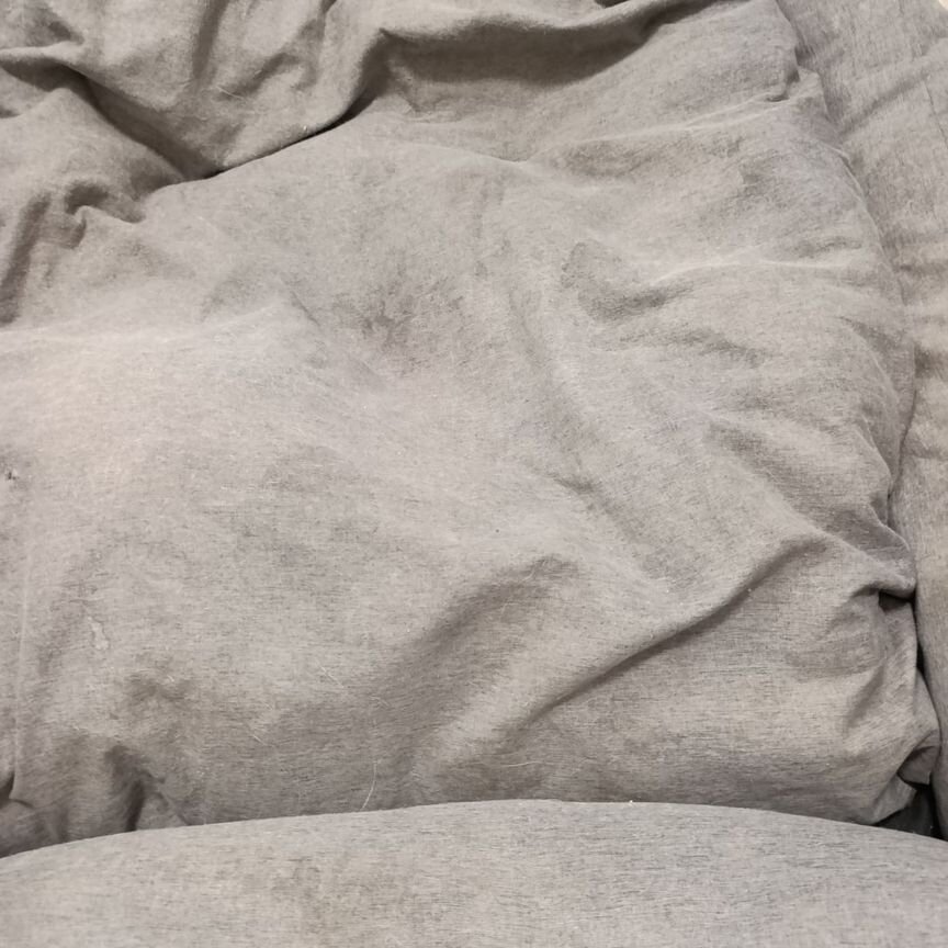 Лежанка для собак