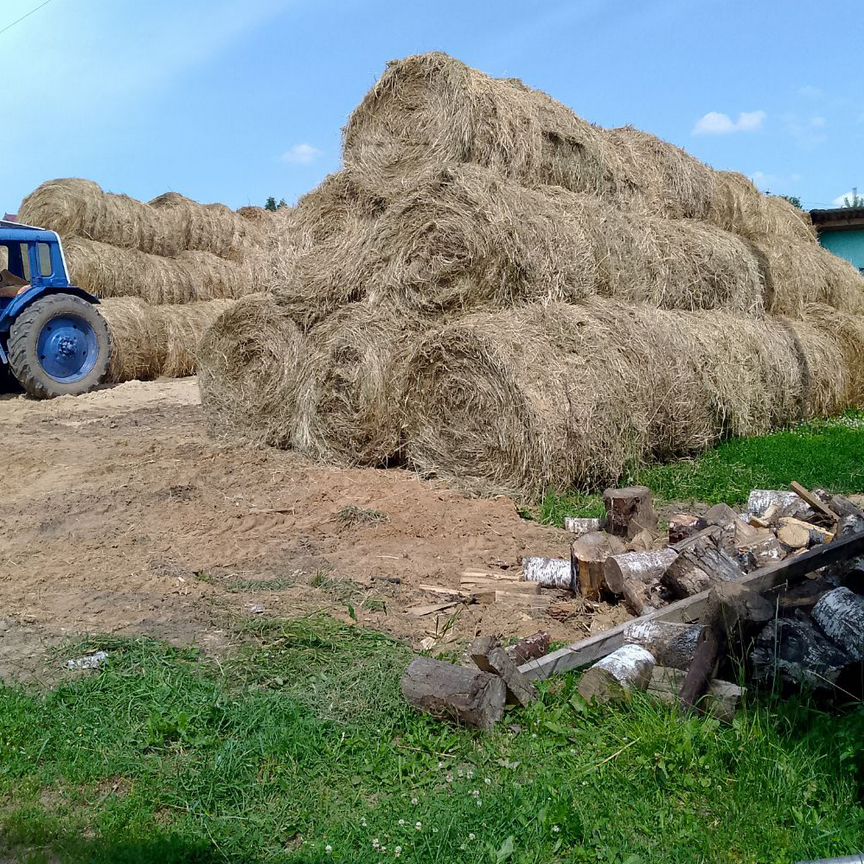 Сено в рулонах