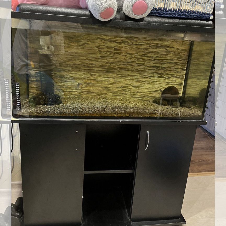 Аквариум на 150 литров