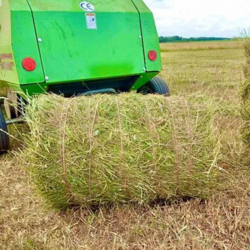 Продам сено в рулонах