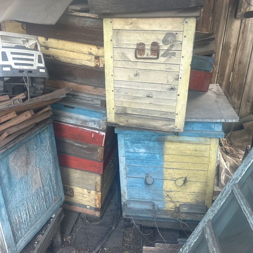 Улики для пчел