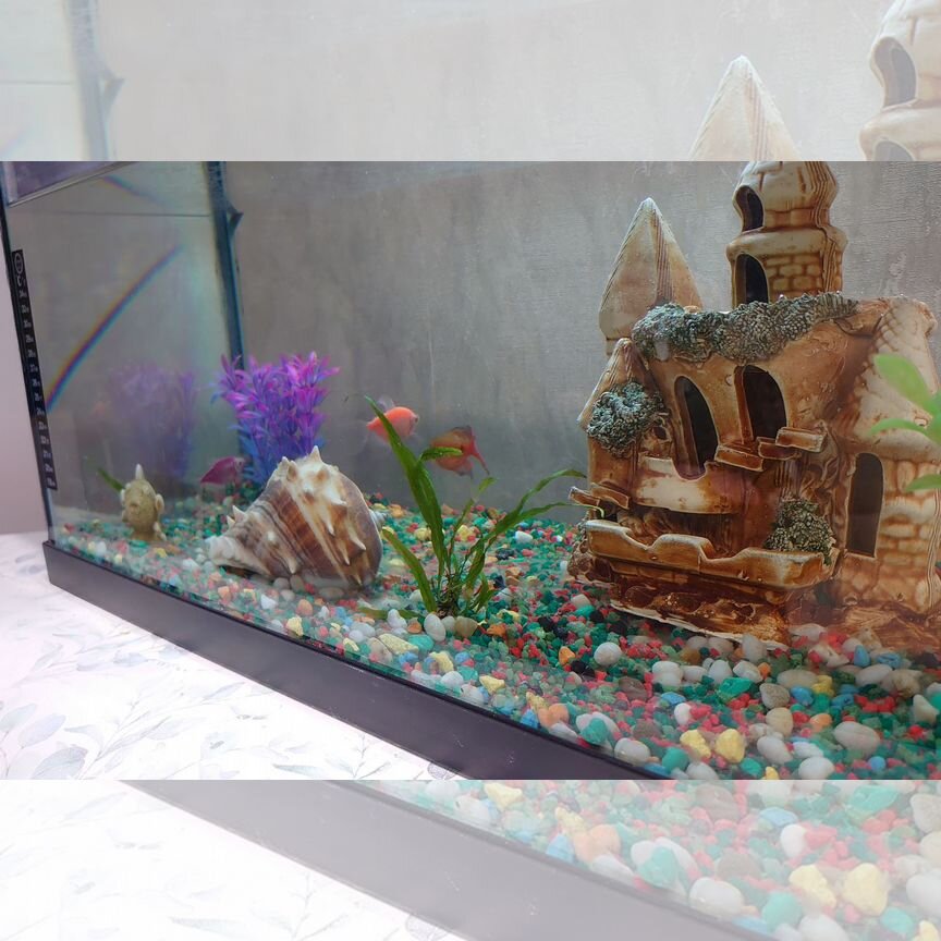 Аквариум 60*30*35