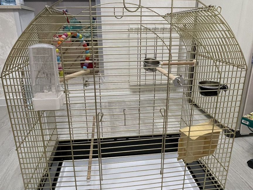 Клетка для попугая, птиц