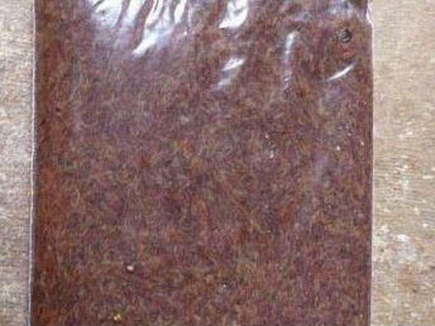 Мясо артемии замороженное