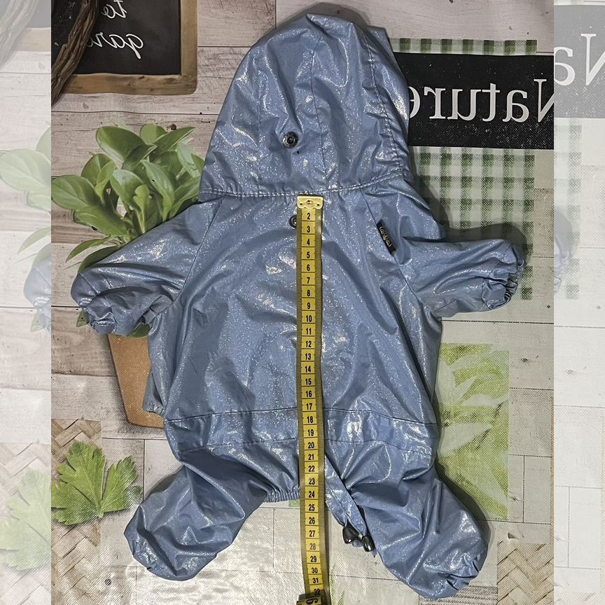 Одежда для маленьких собак s