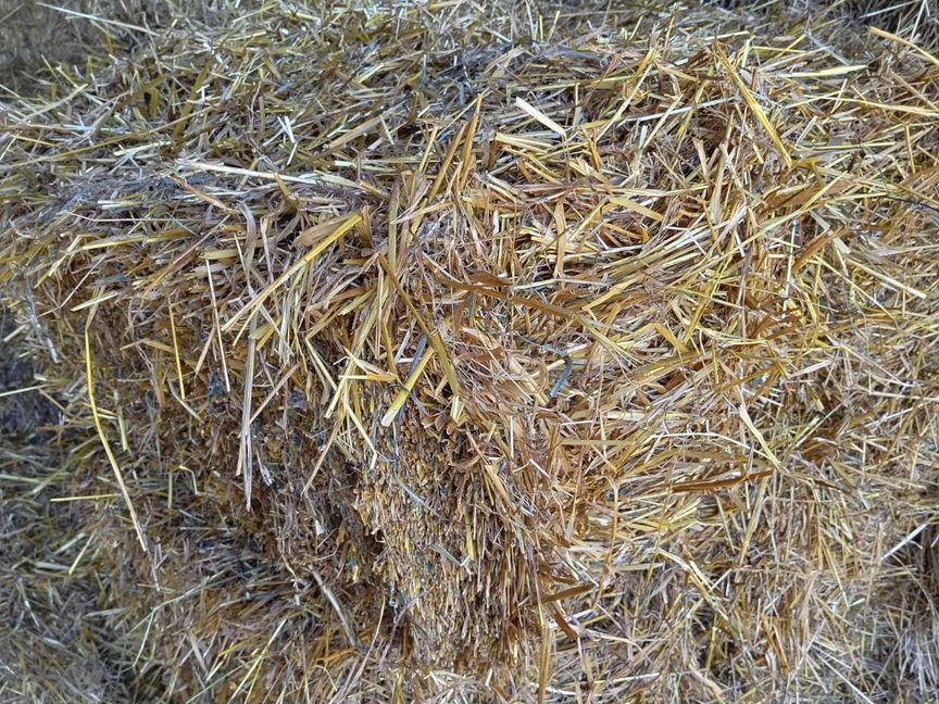 Сено, солома в тюках