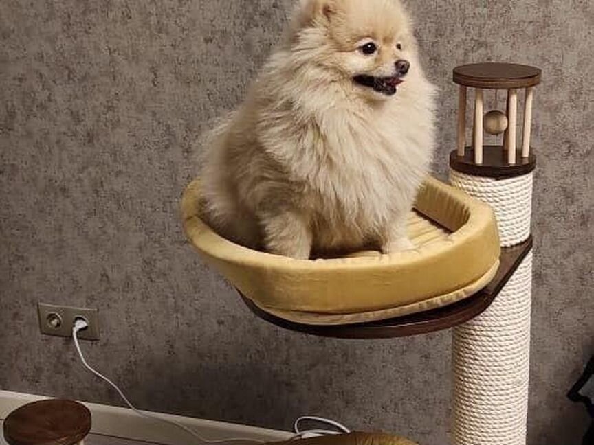 Когтеточка домик для кошки