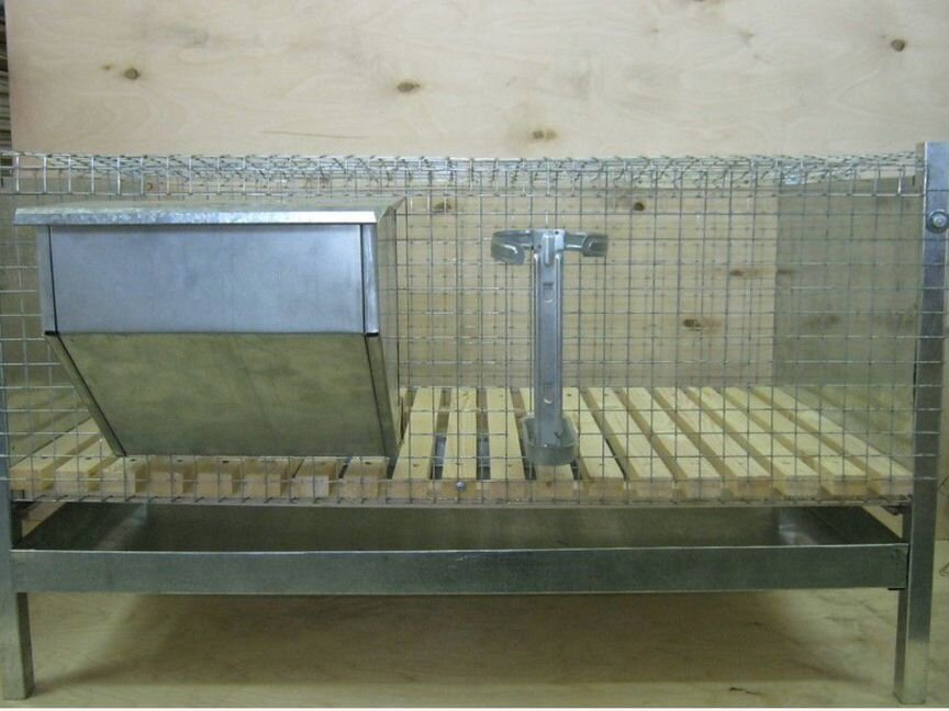 Клетки для кроликов откормочная дер пол