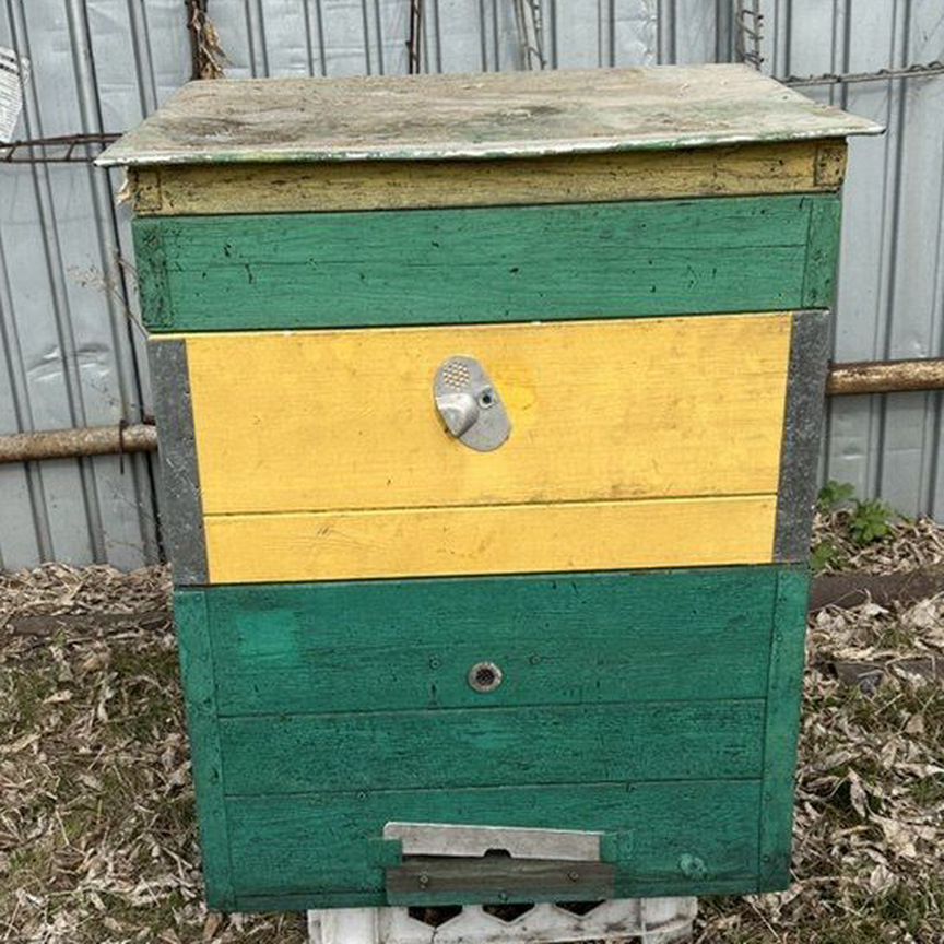 Деревянные ульи