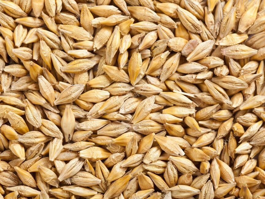 Зерно ячмень, пшеница, попытка (дробленка)