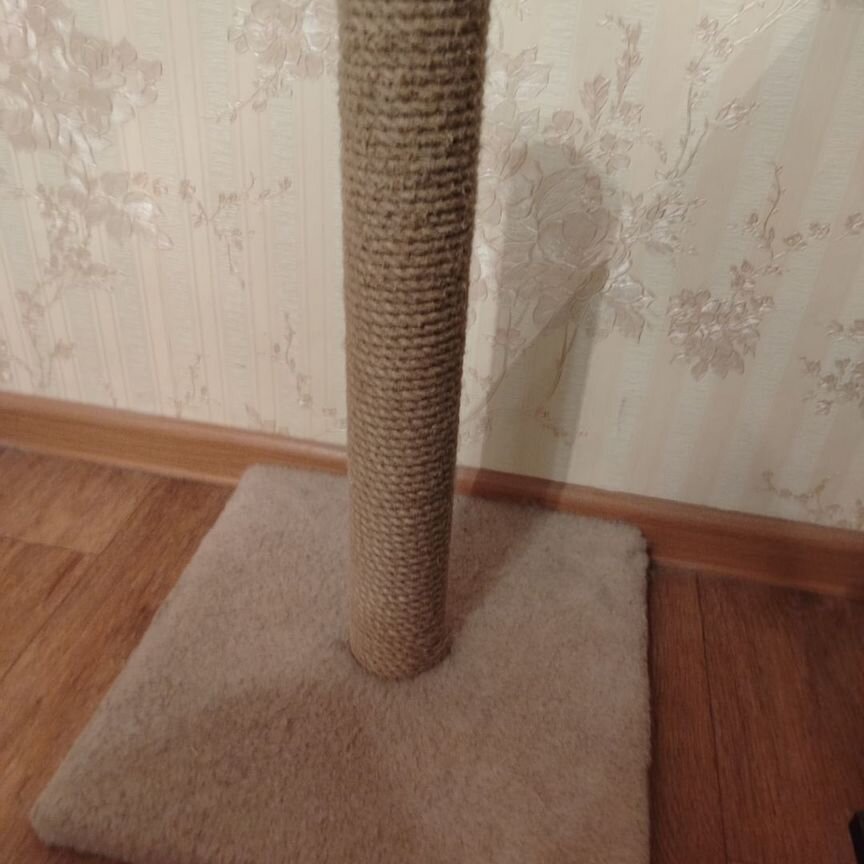 Когтеточка