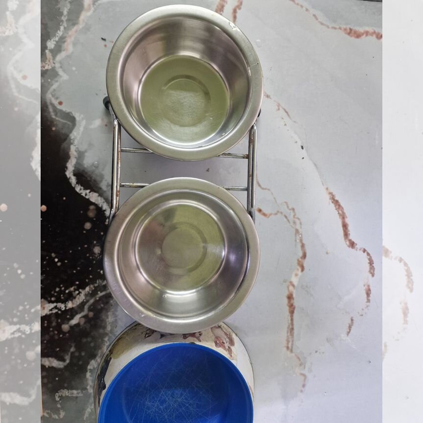 Миски для собак с подставкой