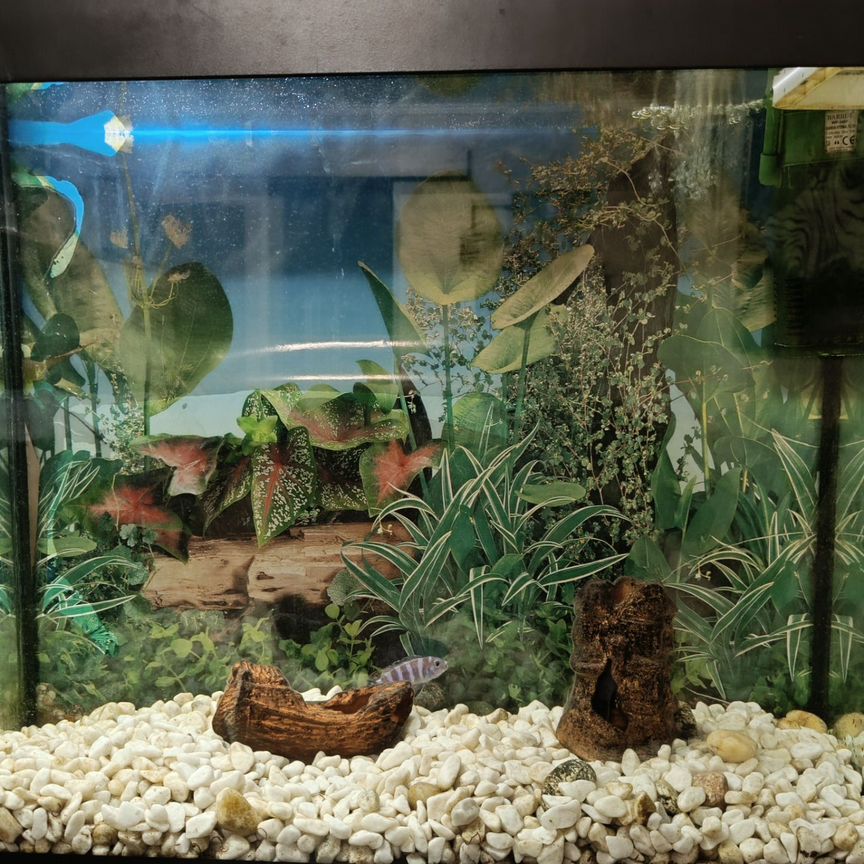 Аквариум 100л