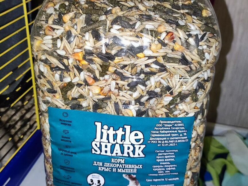 Зерно пшеница ячмень. Кукуруза