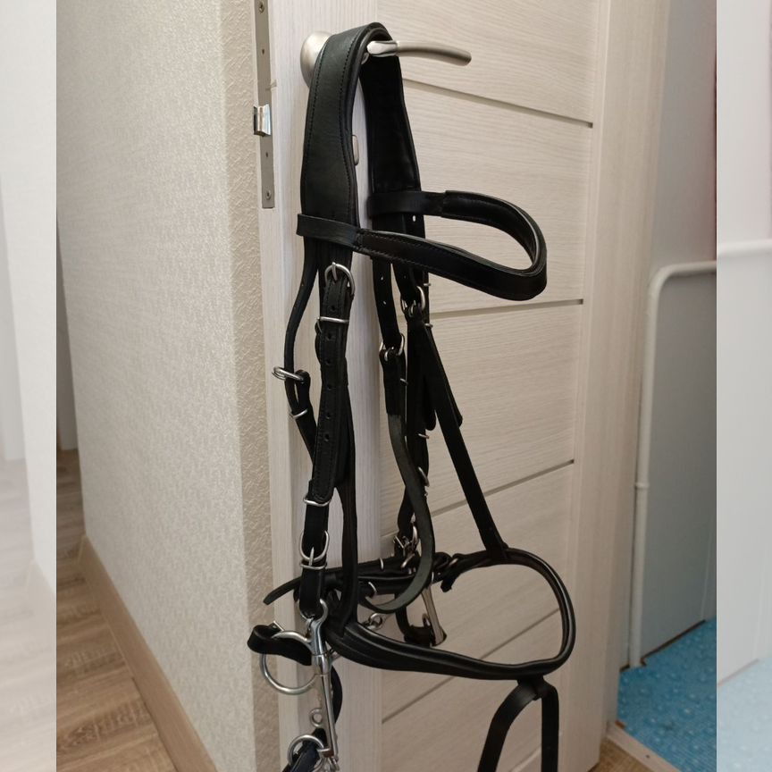 Оголовье для лошади