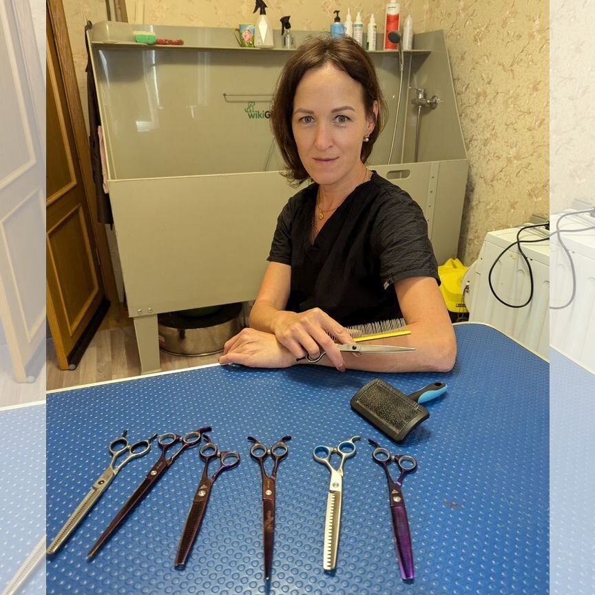 Груминг грумер стрижка собак