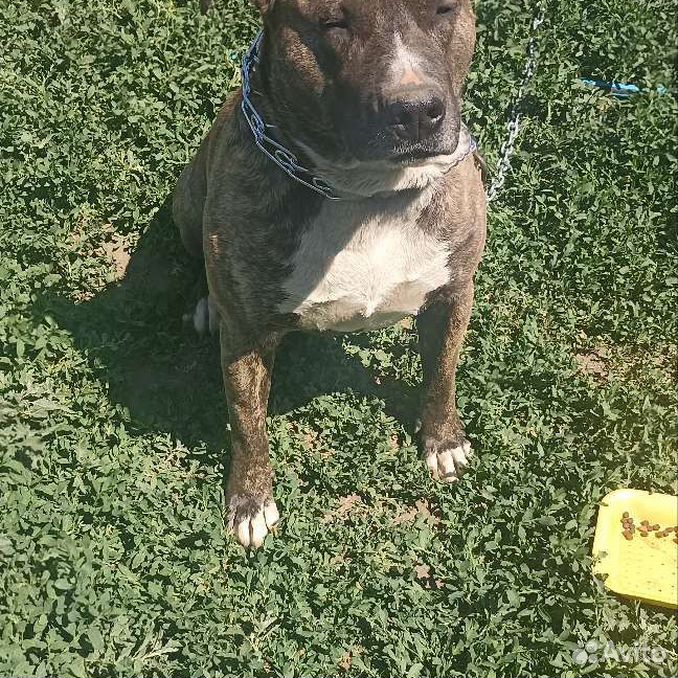 Стаф для вязки, кабель