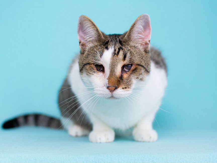 Красавчик Тима 1 год ищет семью