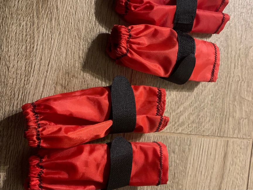 Одежда,налапники,гетры,обувь для собак