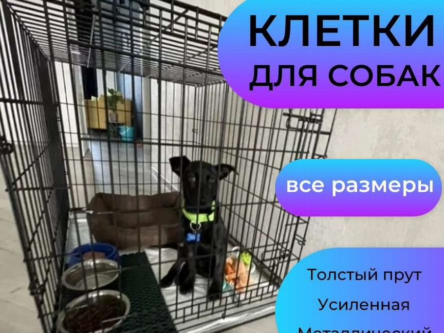 Клетка для животных