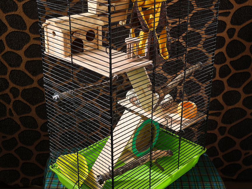 Клетка для шиншиллы шиншилл крыс дегу