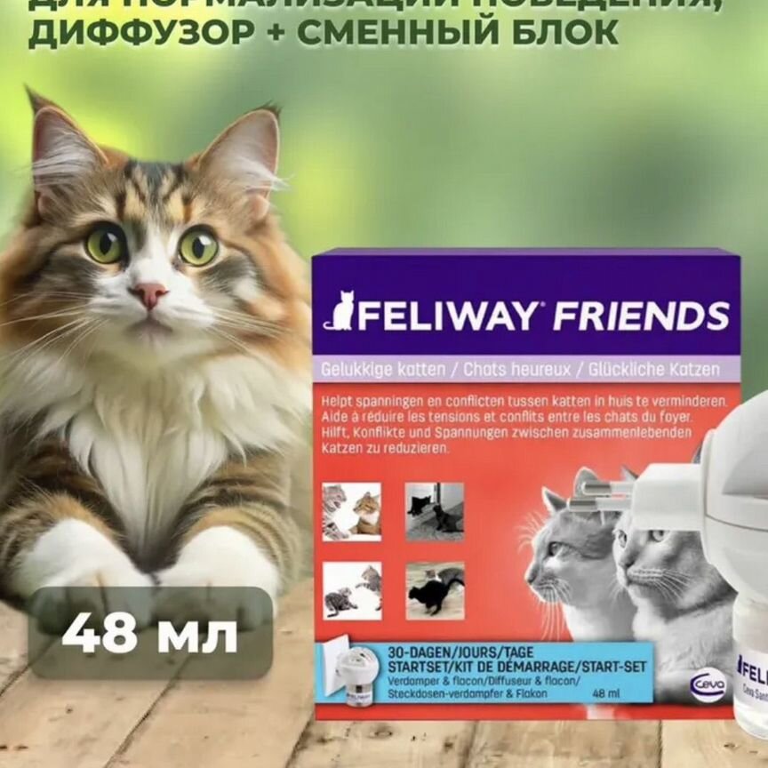 Феромоны для кошек