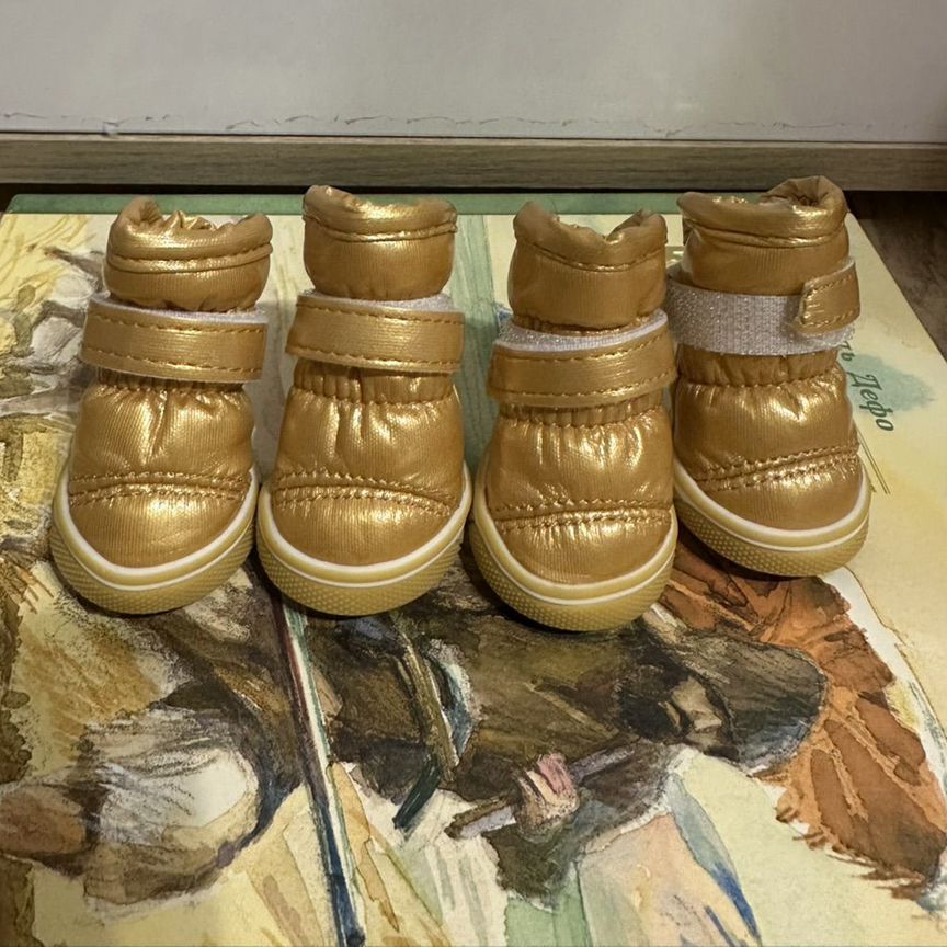 Ботинки petmax 1