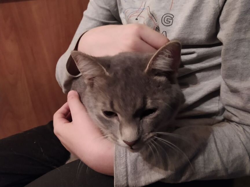 Кошик в добрые руки